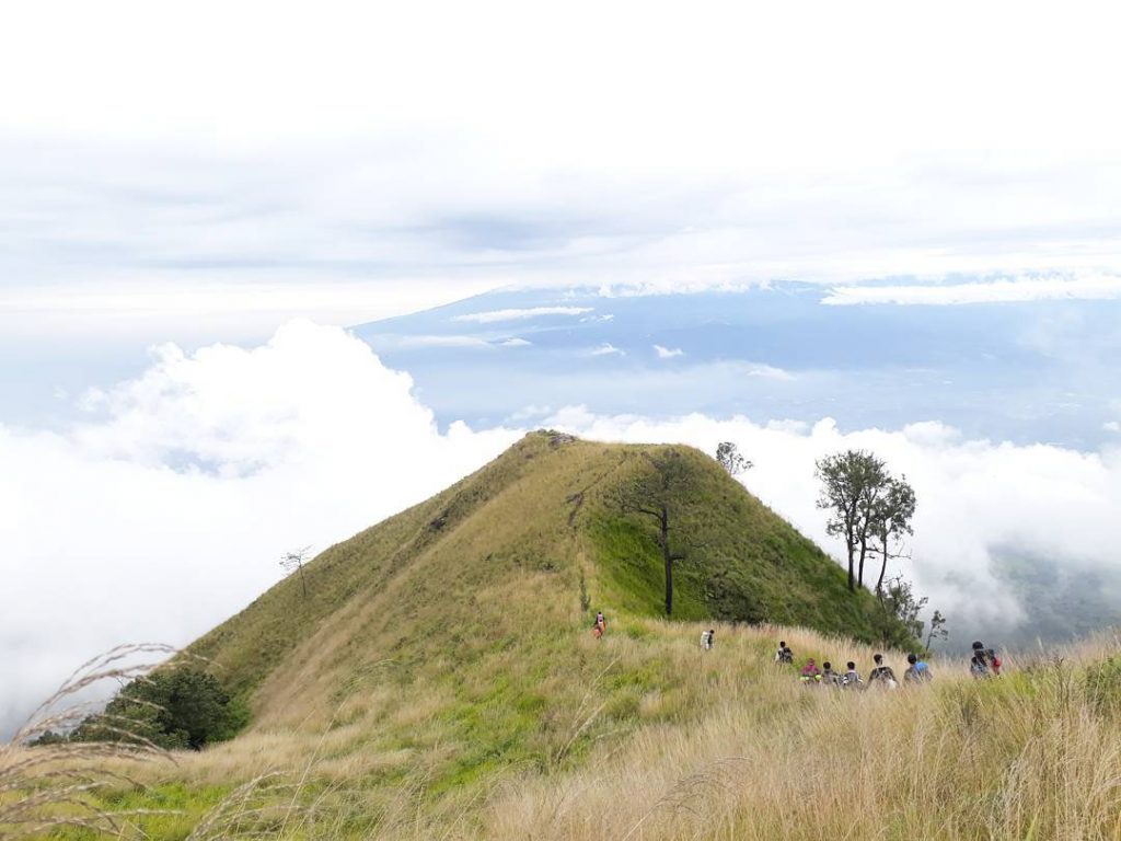 Pesona Sabana Lincing, Bukit di Malang untuk Menikmati Sunrise