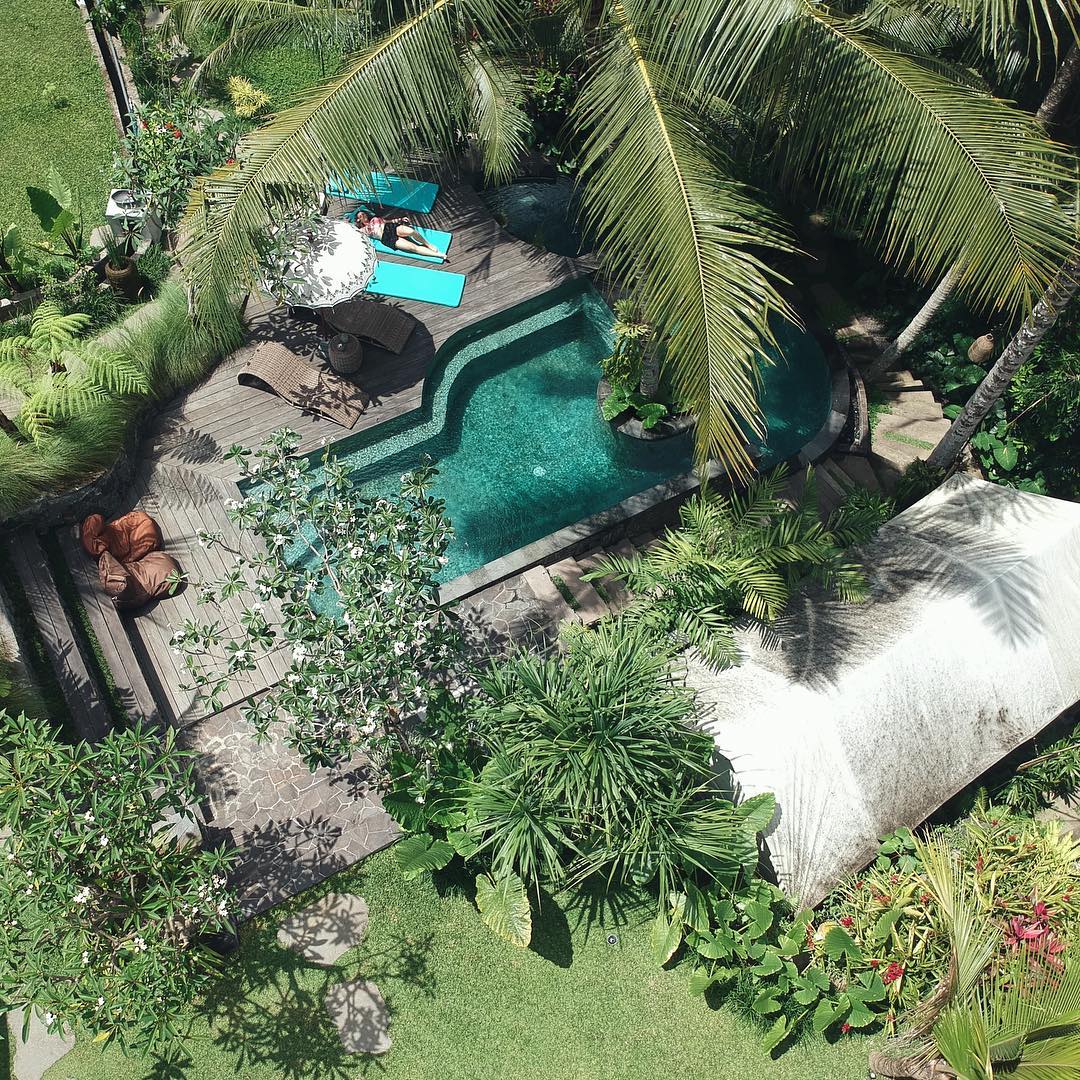 Tempat Menginap Ubud 100 Ribuan, dari Jelajah Hutan hingga Main ke ...