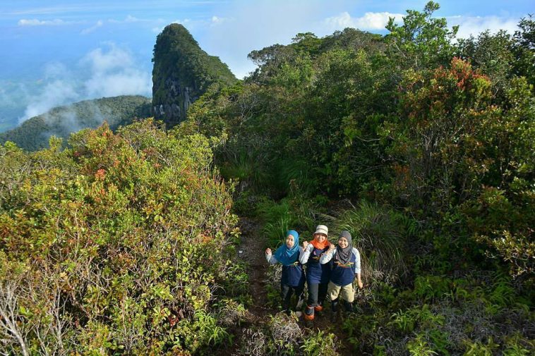 Wisata Bukit di Kalimantan, Halaman ‘Surga’ yang Indah