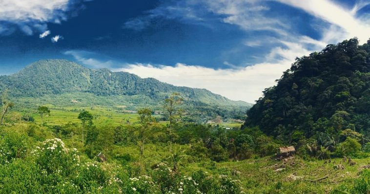 Gunung Leuser Aceh, Belantara Langka yang Seliar Amazon