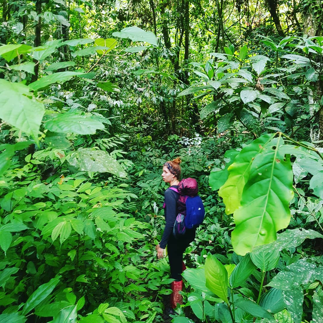 Gunung Leuser Aceh, Belantara Langka yang Seliar Amazon