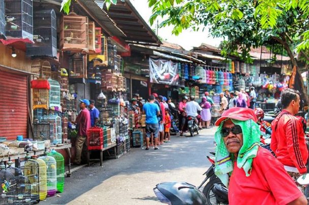 Pasar Splendid, Pasar di Malang Dengan Beragam Keunikan