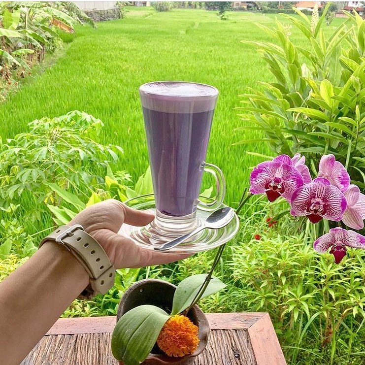 Kafe Keren di Ubud, Paduan Menu Enak dan Spot Instagramable