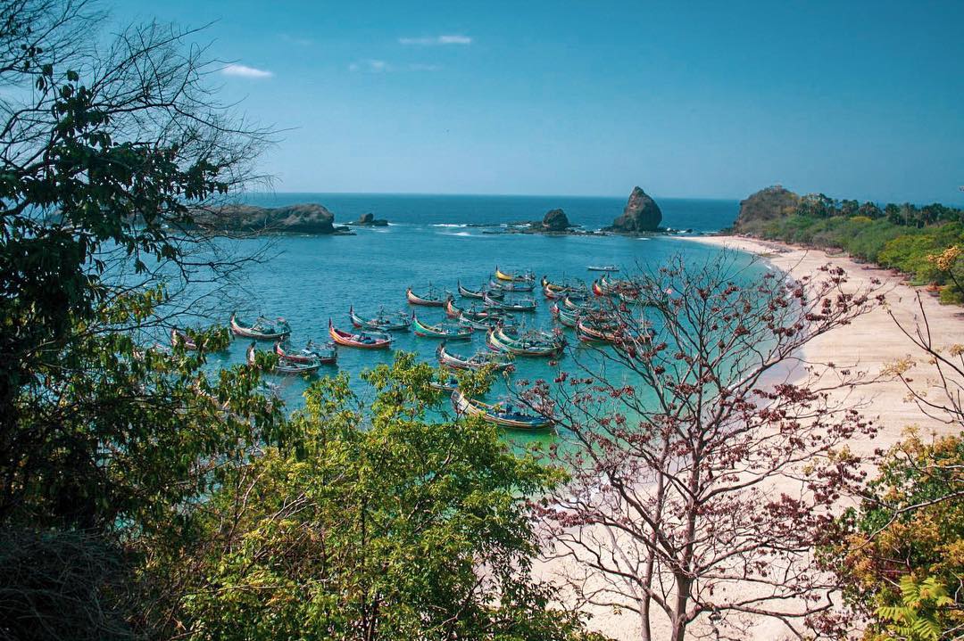 Pantai Papuma Jember, Pesonanya Bisa Bikin Keblinger