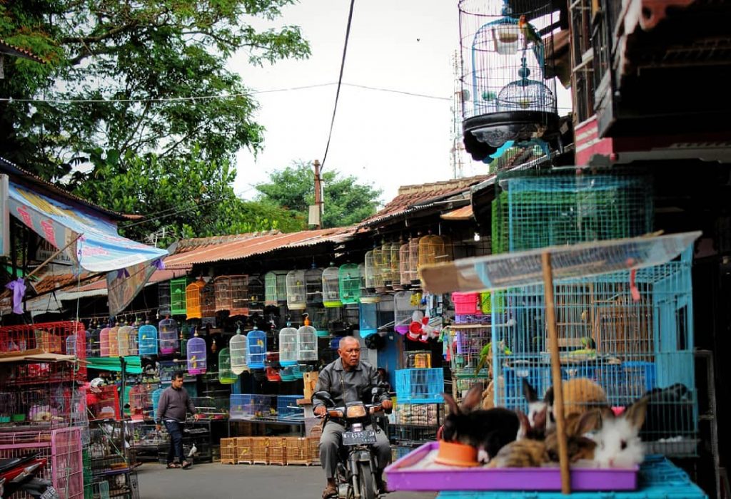 Pasar Splendid, Pasar di Malang Dengan Beragam Keunikan