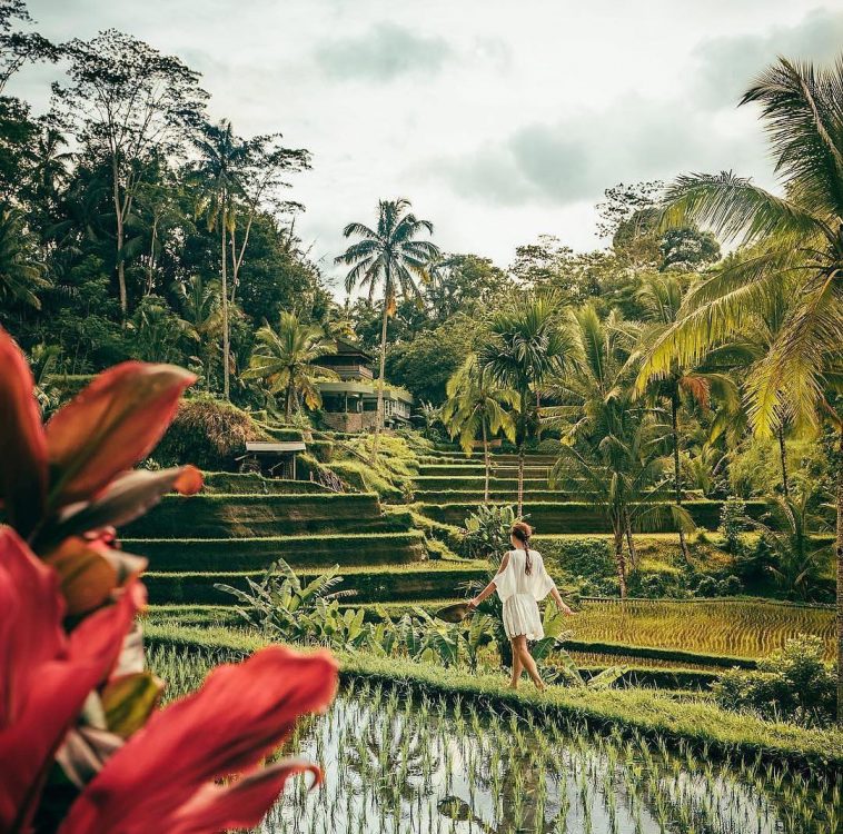 5 Alasan Ubud Jadi Destinasi Wisata Favorit, Apa saja?