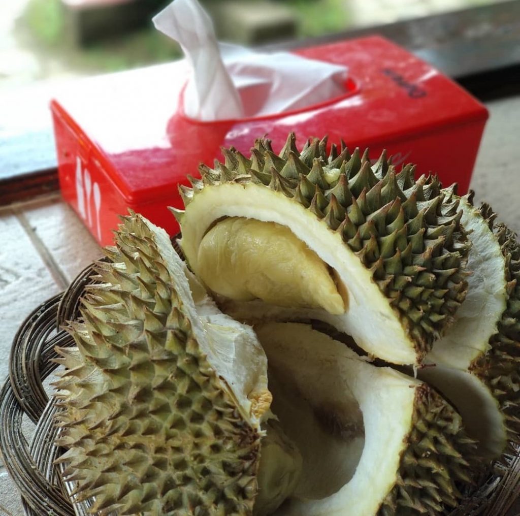 Warso Farm Durian, Makan dan Petik Langsung dari Pohonnya