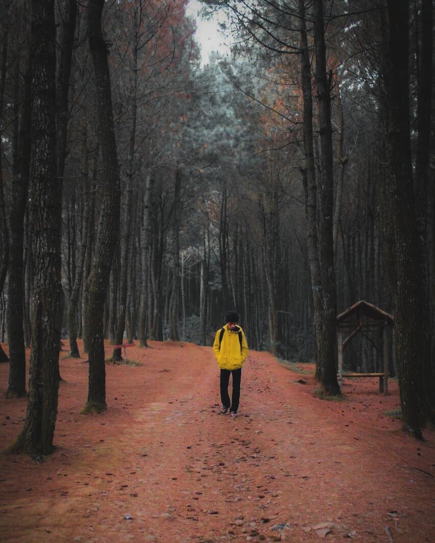 Bukit Senyum, Satu Cara Lagi Nikmati Pemandangan Bandung