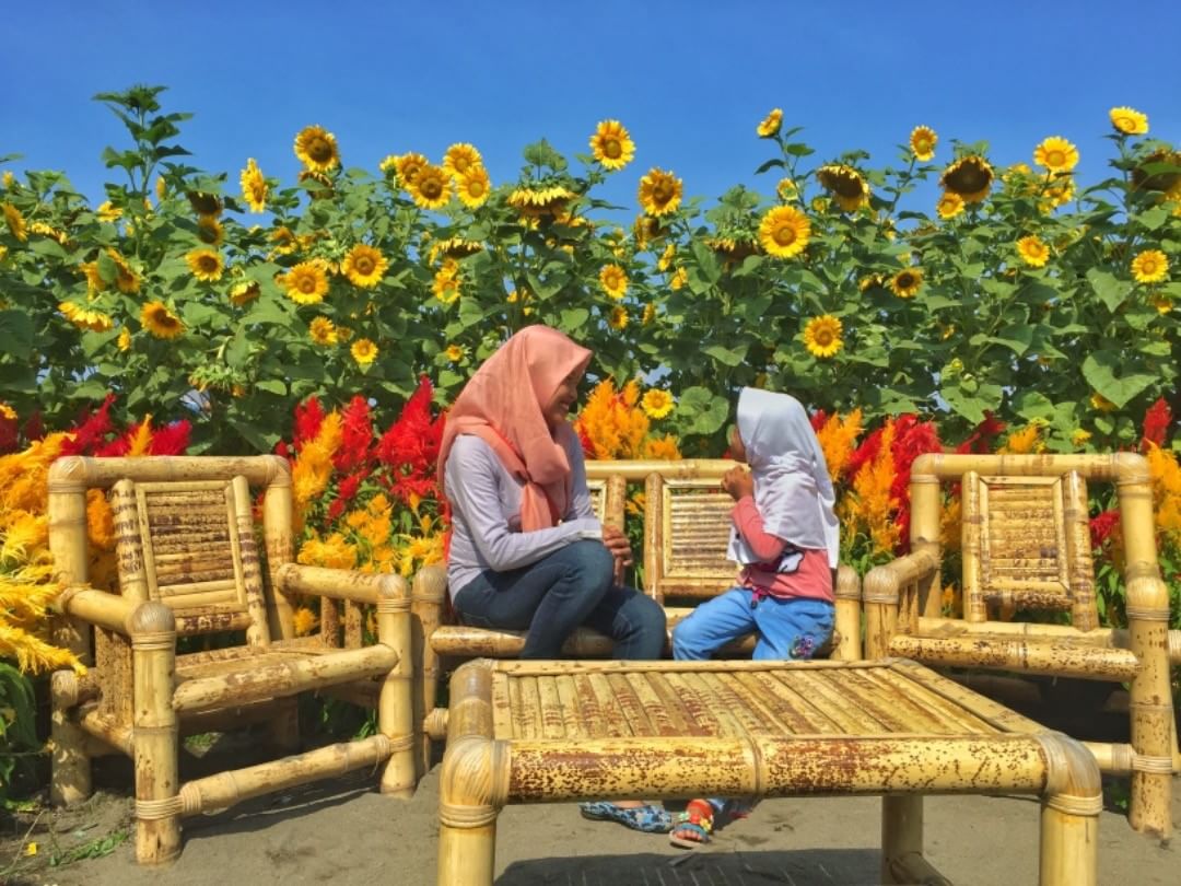 Perengan Park, Lokasi Berburu Foto Instagenic di Jogja
