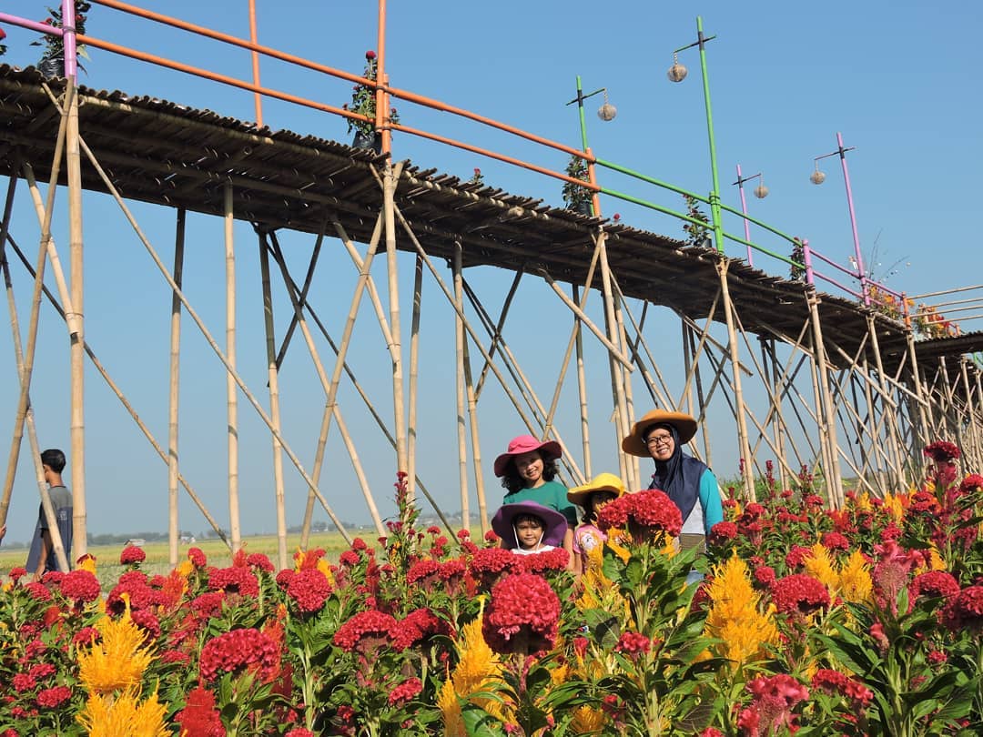 Spot Foto Keren di Bantul, Jangan Lewatkan Saat ke Jogja