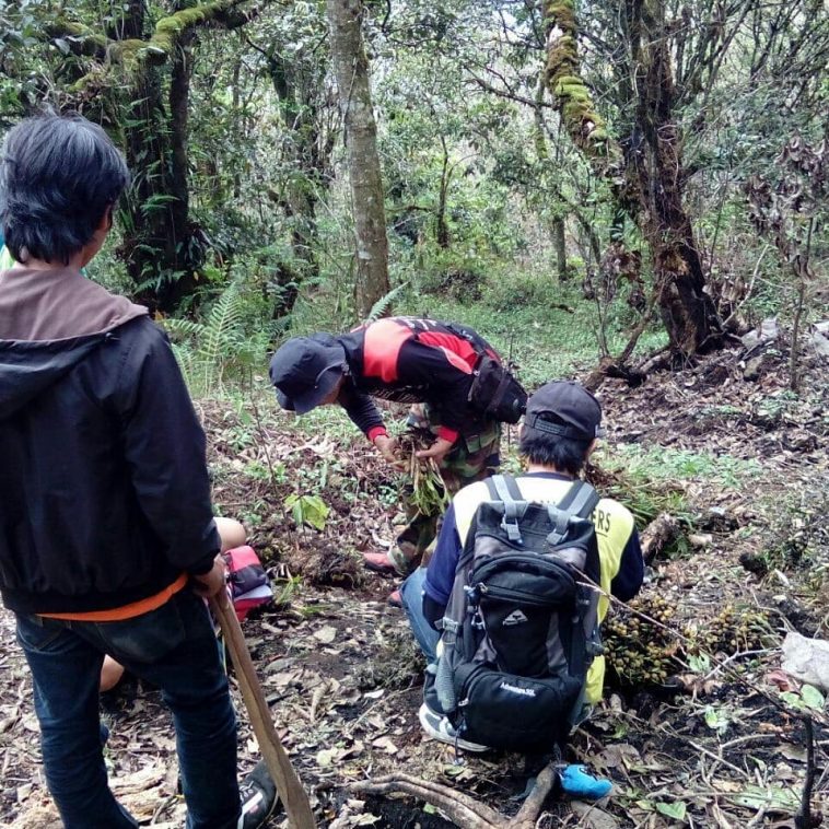 Menaklukkan Puncak Gunung Lawu Via Cemoro Sewu