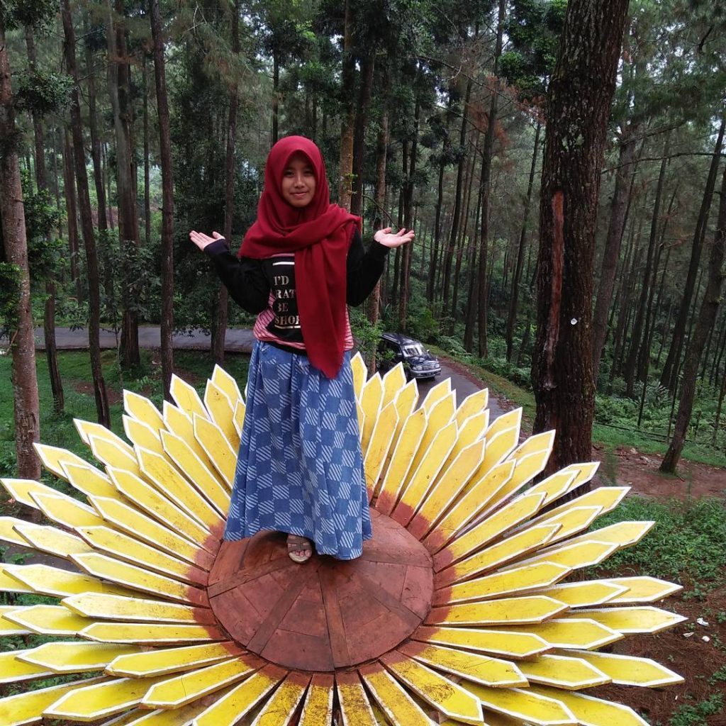 10 Spot Foto Bentuk Bunga Matahari yang Instagramable di Indonesia