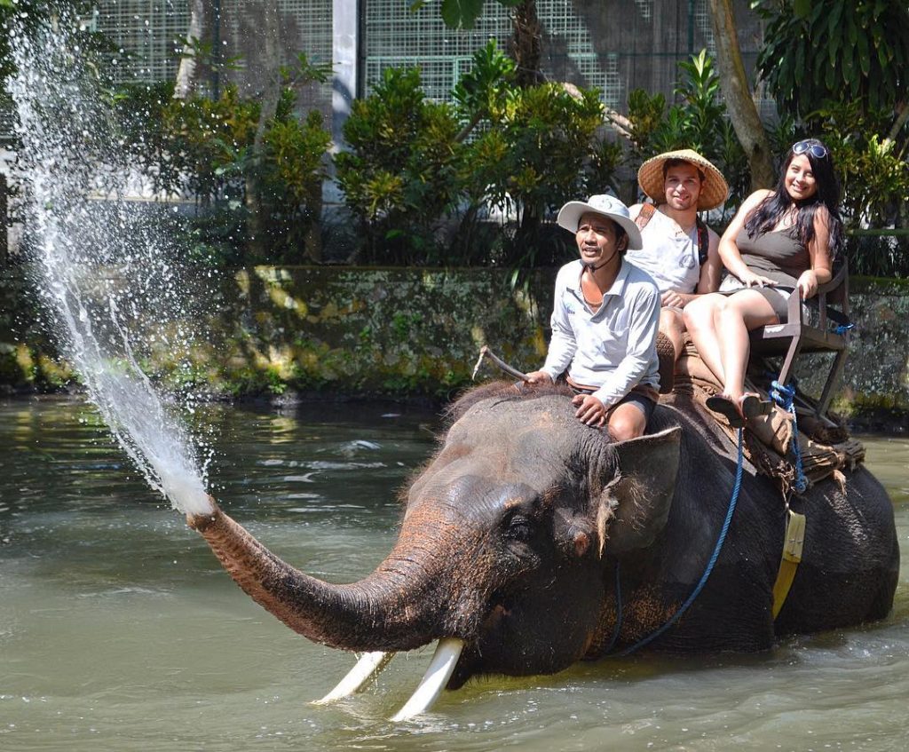 Wisata Naik Gajah di Bali, Cocok Jadi Destinasi Liburan bareng Si Kecil
