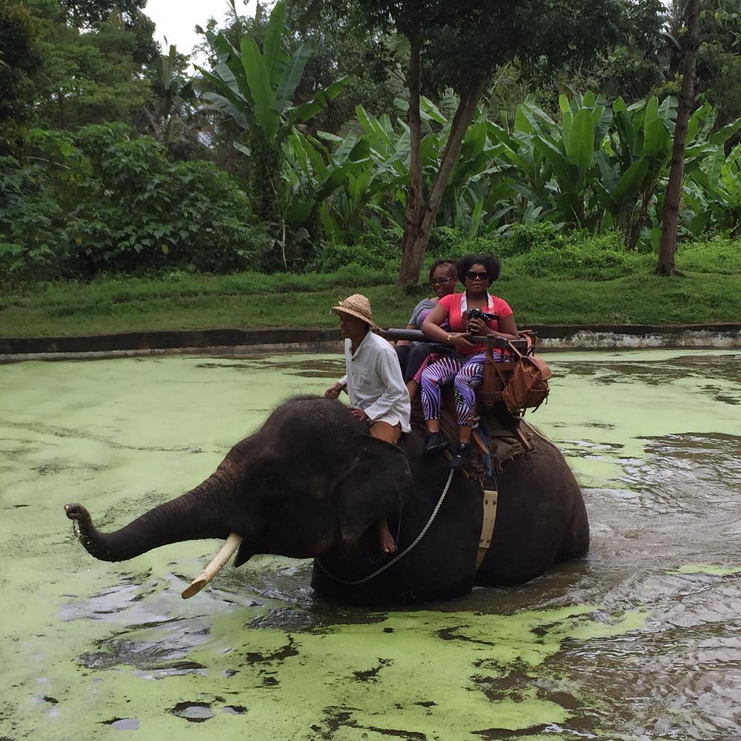 Wisata Naik Gajah di Bali, Cocok Jadi Destinasi Liburan bareng Si Kecil