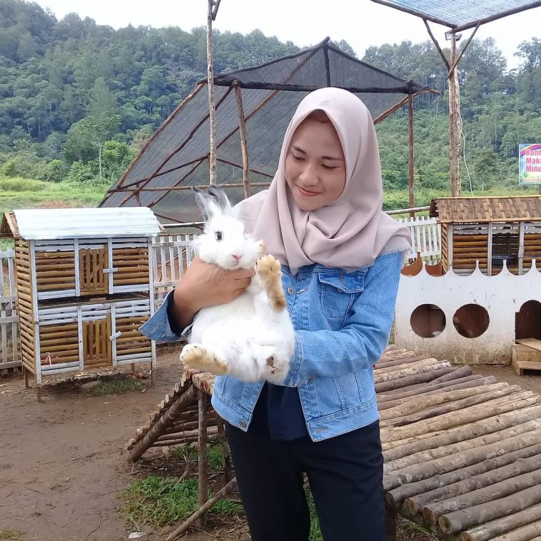 Bukit Kelinci di Payakumbuh, Spot Ala Eropa di Sumatera Barat