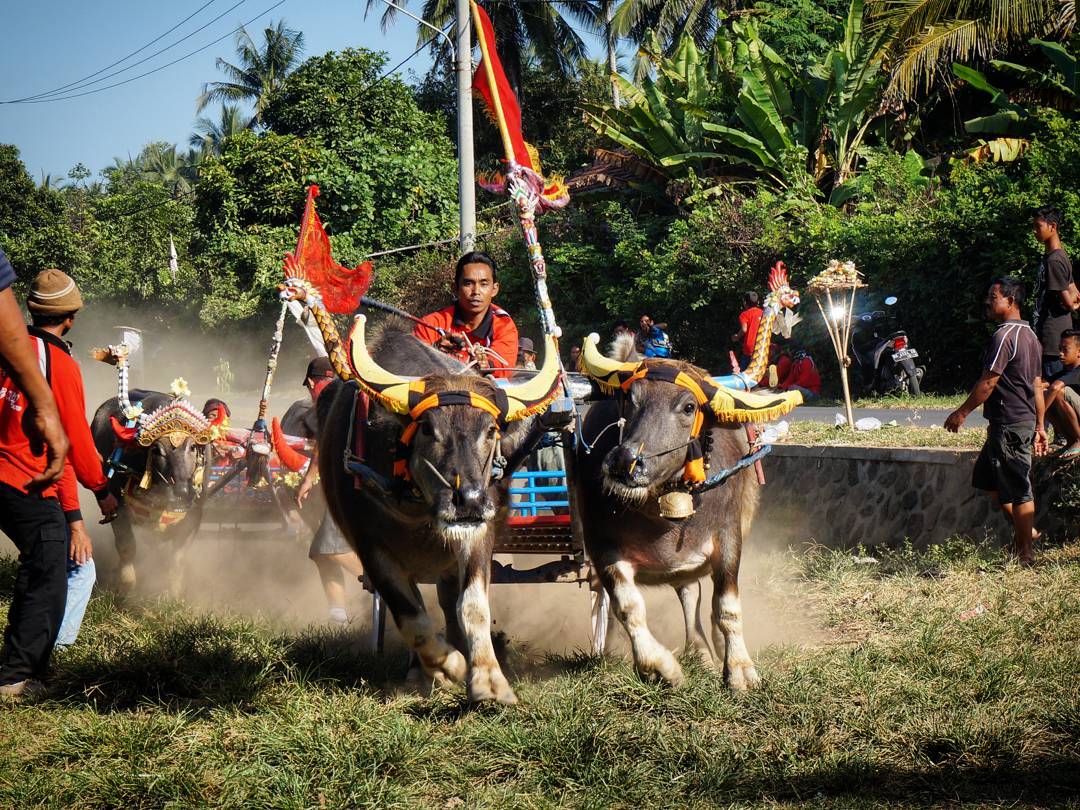 Daftar Acara di Bali, Pastikan Liburanmu Makin Berkesan