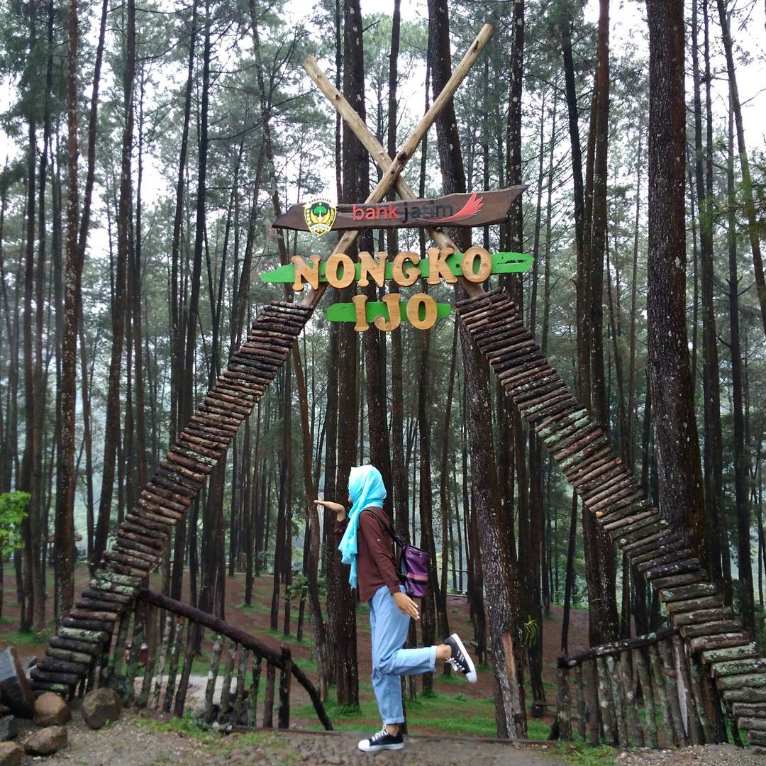 Nongko Ijo di Madiun, Hutan Pinus Berbalut Spot Kekinian yang Fotogenic