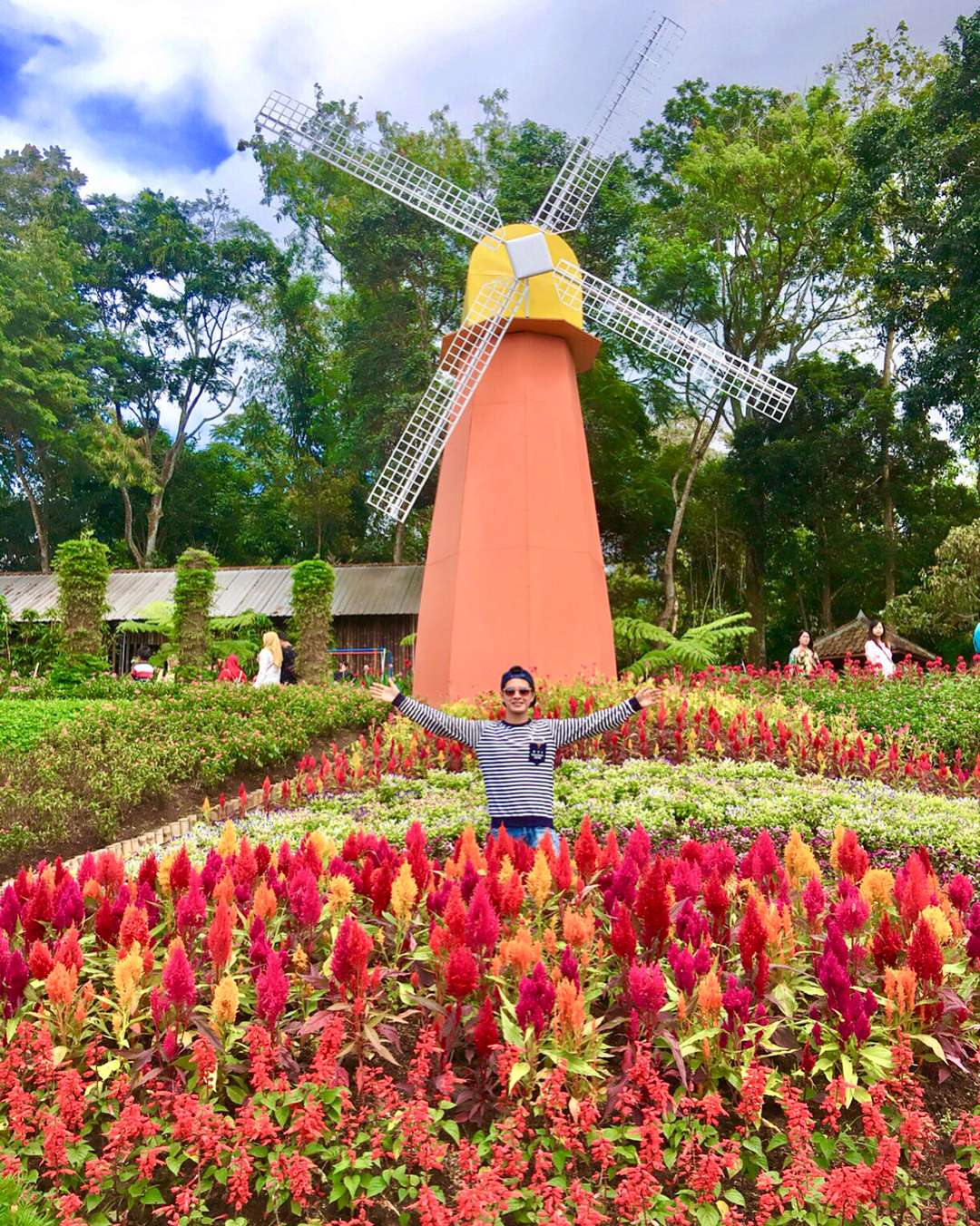 Taman Bunga Celosia di Jawa Tengah, Warna-warni Nan Indah