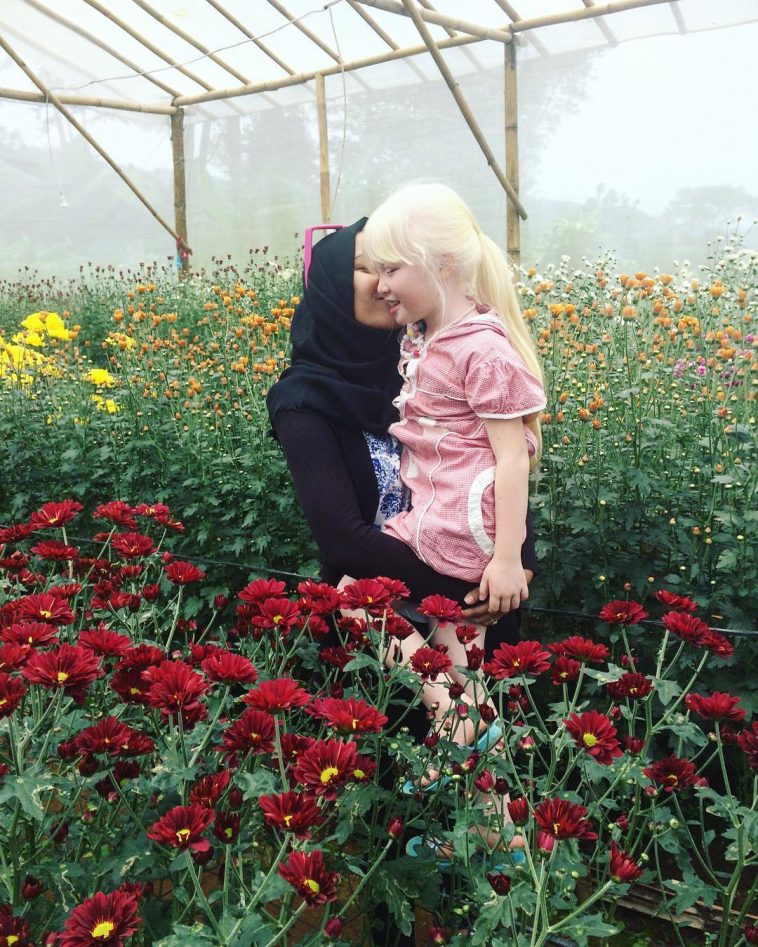 Taman Bunga Krisan di Indonesia, Indahnya Bikin Terpesona