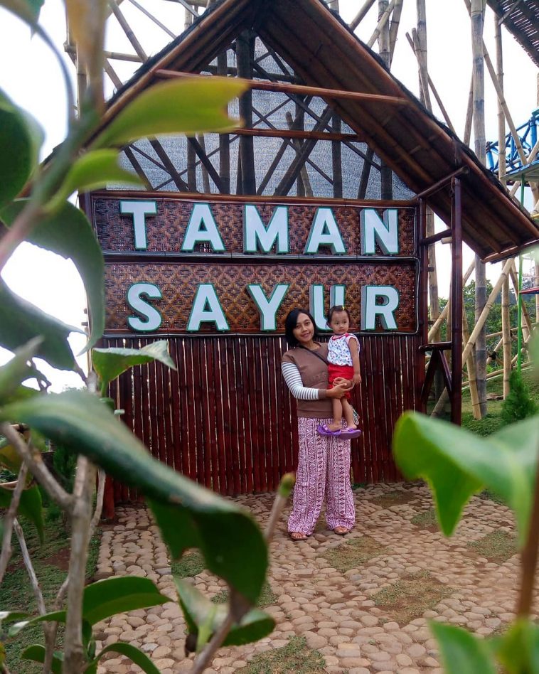 Taman Sayur di Kendal, Saat Bahan Pangan Berpadu dengan Spot Kekinian