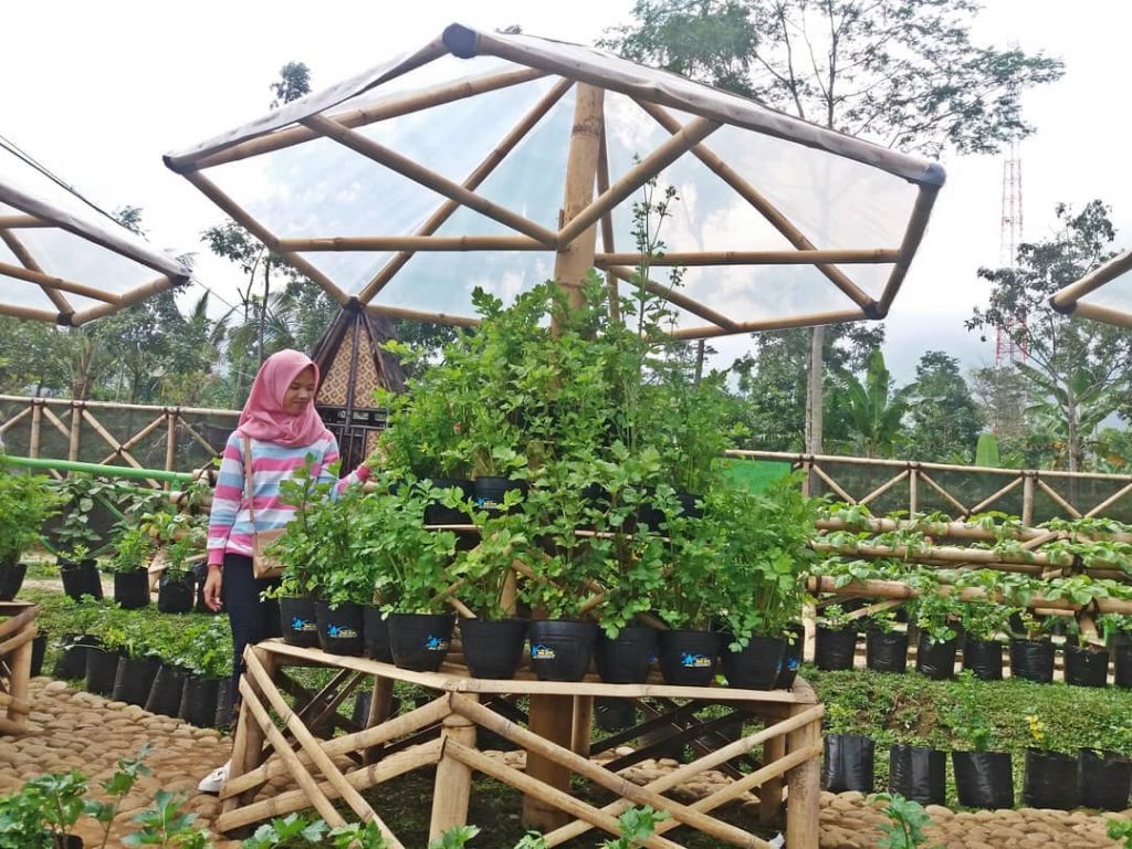 Taman Sayur di Kendal, Saat Bahan Pangan Berpadu dengan Spot Kekinian