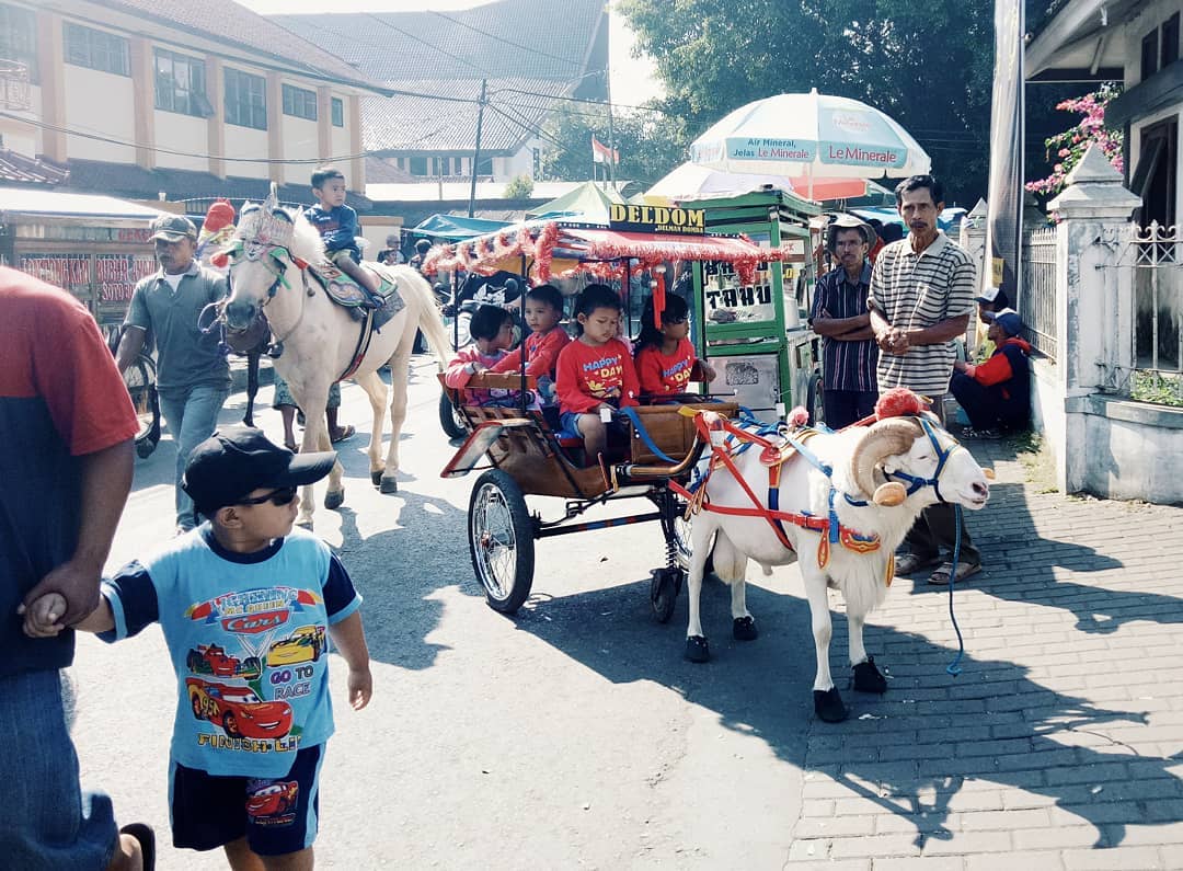 Deldom, Delman Mini Khas Garut yang Unik dan Ada-ada Saja