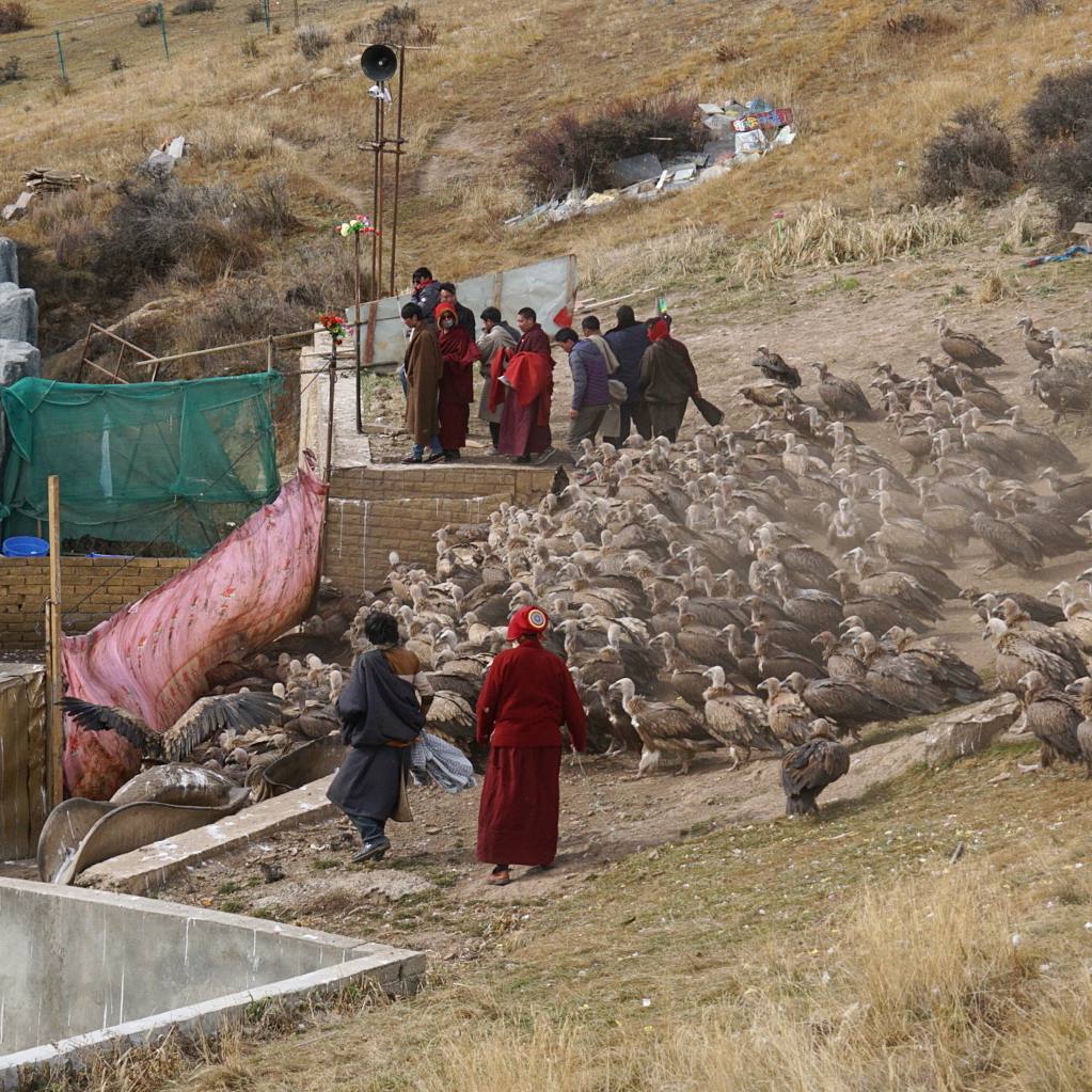 Budaya Unik di Tibet, Negari Atap Dunia
