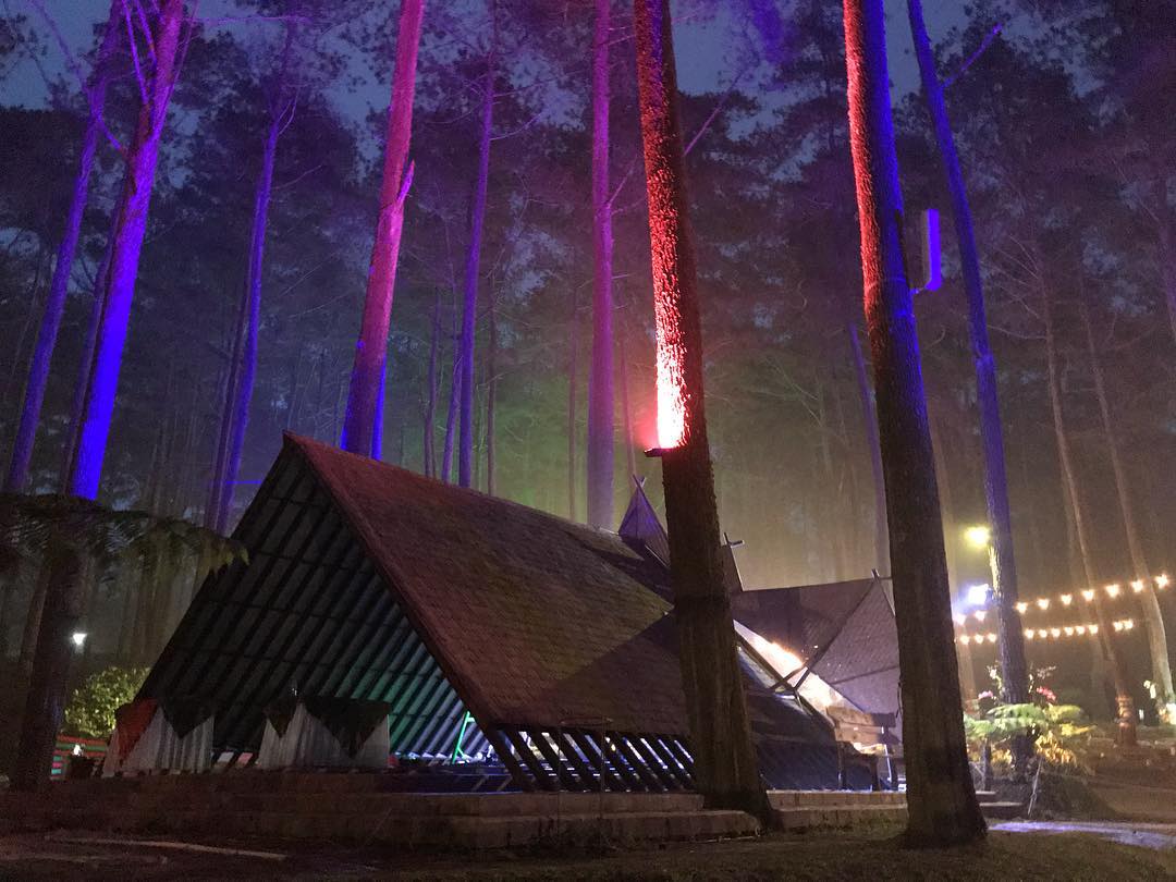 Fakta Orchid Forest Cikole yang Menjadi Destinasi Wisata Digital
