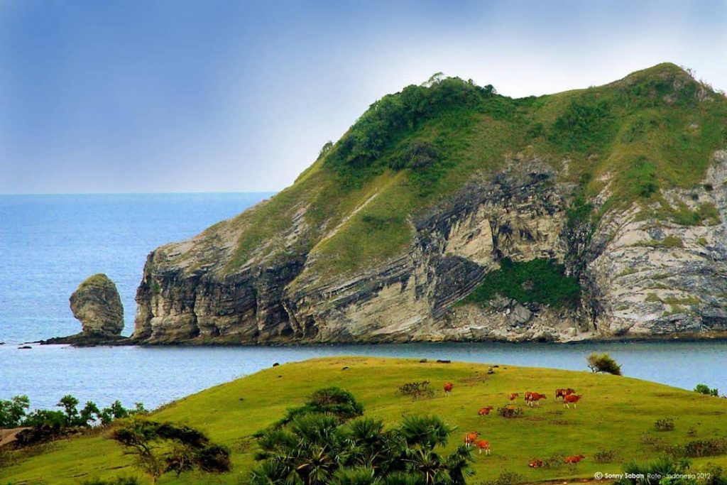 Destinasi Wisata Alam Pulau Rote, Ada Laut Mati di Indonesia