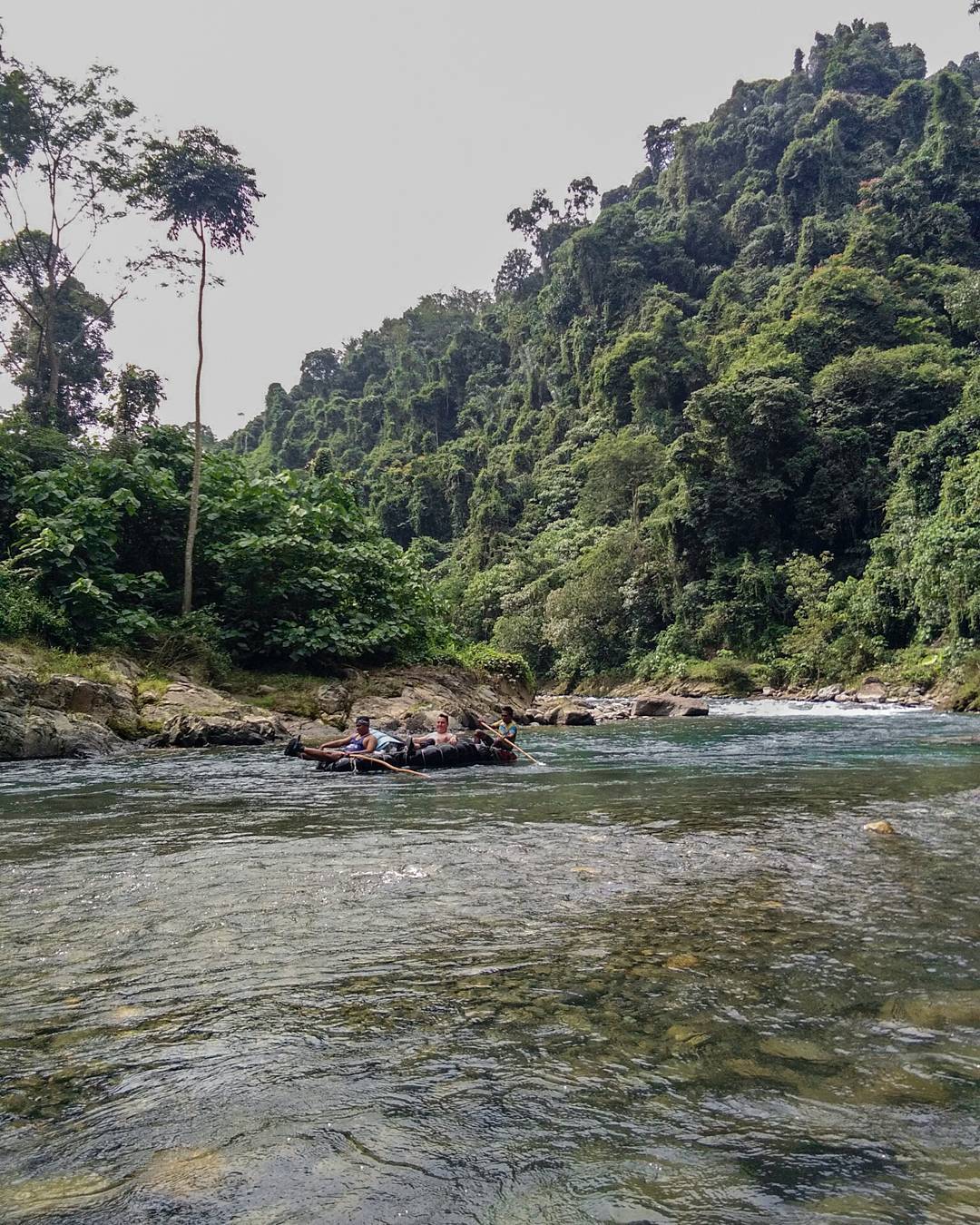 Bukit Lawang, Pesona Juara Wisata Alam Eksotis di Sumatra Utara