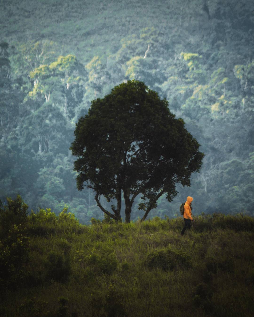 Bukit Tirai Hujan Banjarbaru, Spot Foto Pre-Wedding Bikin Kepingin