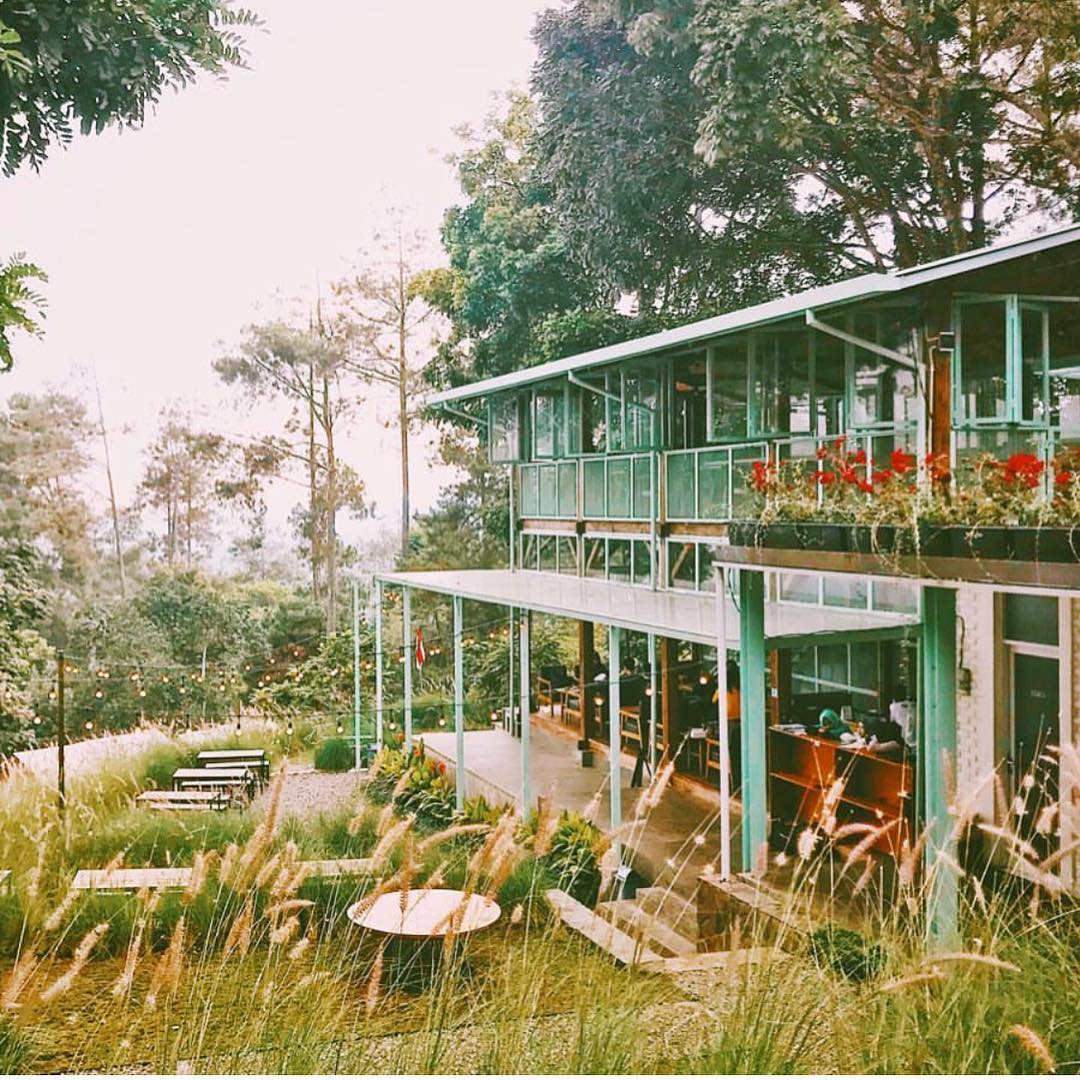 Utara Cafe Bandung, Tawarkan Sensasi Nongkrong Cantik di Dalam Iglo
