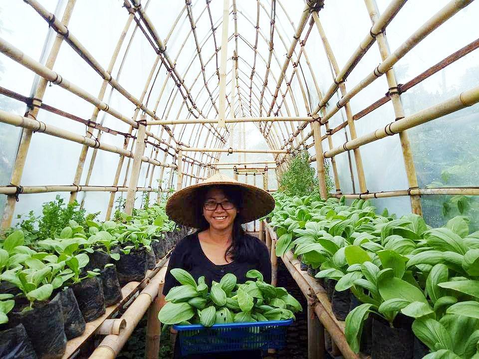Malini Agropark, Perkebunan Organic Atas Bukit yang Instagenic