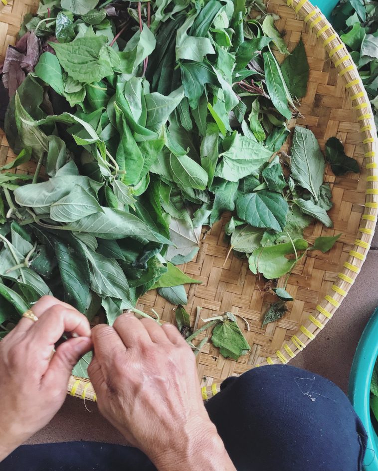 Rendang Daun Makanan Istimewa Cuma Tersedia untuk Upacara Adat Sumatera ...