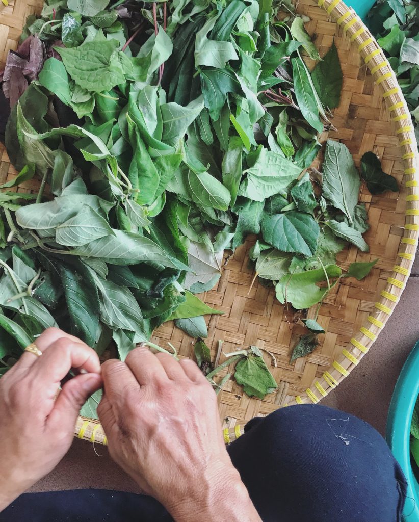 Rendang Daun Makanan Istimewa Cuma Tersedia untuk Upacara Adat Sumatera ...
