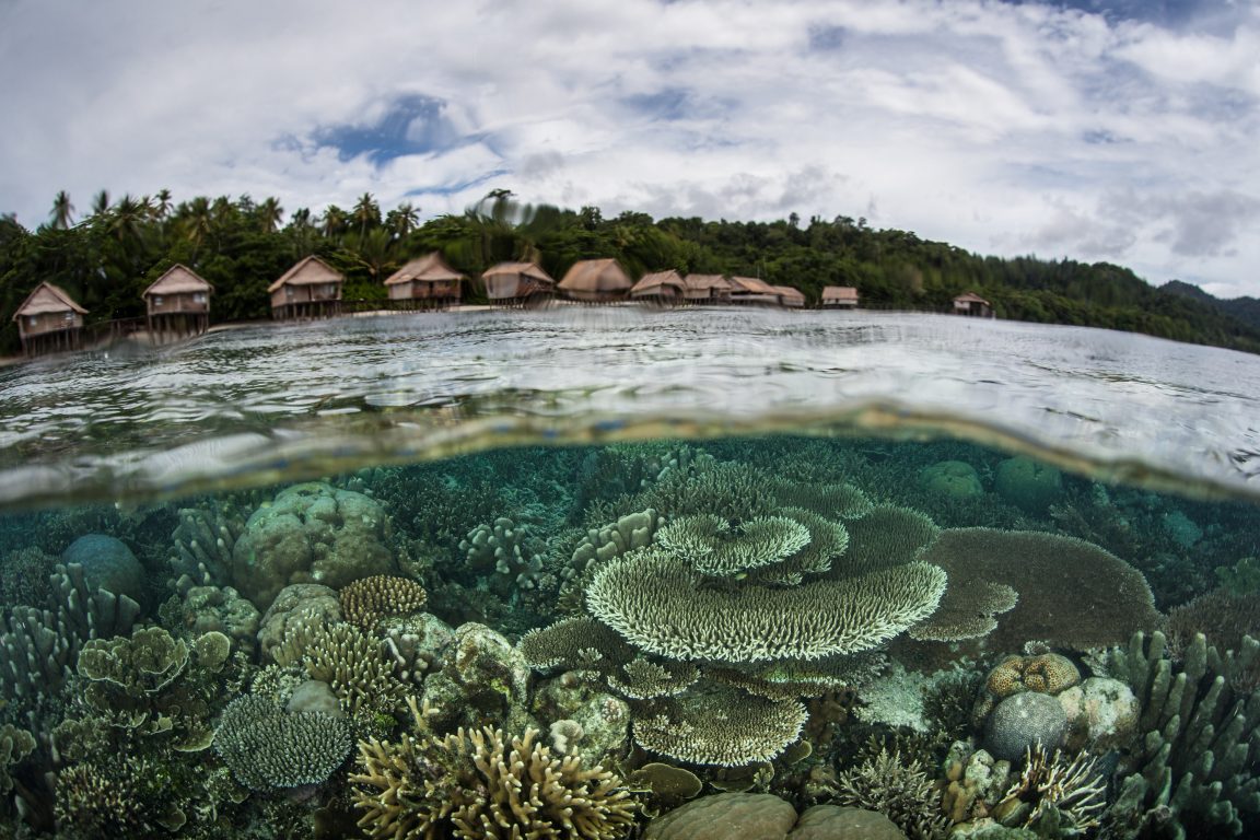 Ini Dia Keindahan Pulau Waigeo, Surga Dunia yang Harus Disaksikan Sendiri