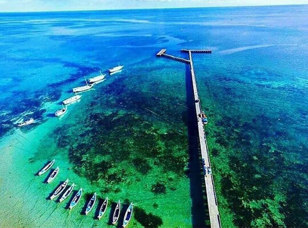 Tengok Pesona Sapudi di Sumenep, Pulau Ribuan Tahun dan Pemasok Sapi ke ...