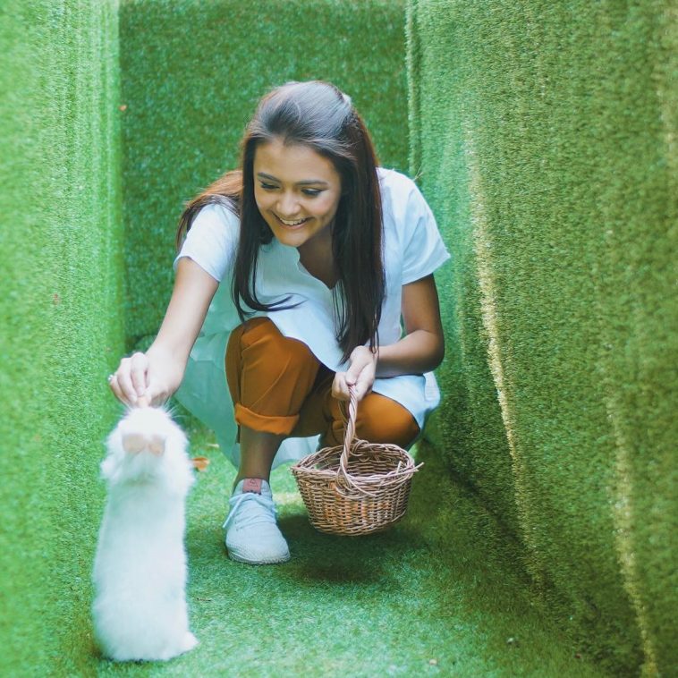 Hotel dengan Mini Zoo di Indonesia, Staycation dengan Anak Makin Asyik