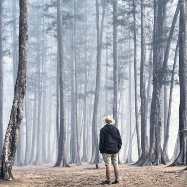 Pilihan Tempat Wisata Samarinda, Destinasi Asyik di Kota Tepian yang ...
