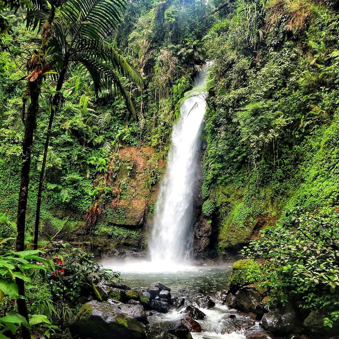 Wajib Kunjungi! Deretan Curug di Taman Nasional Gunung Gede Pangrango ...