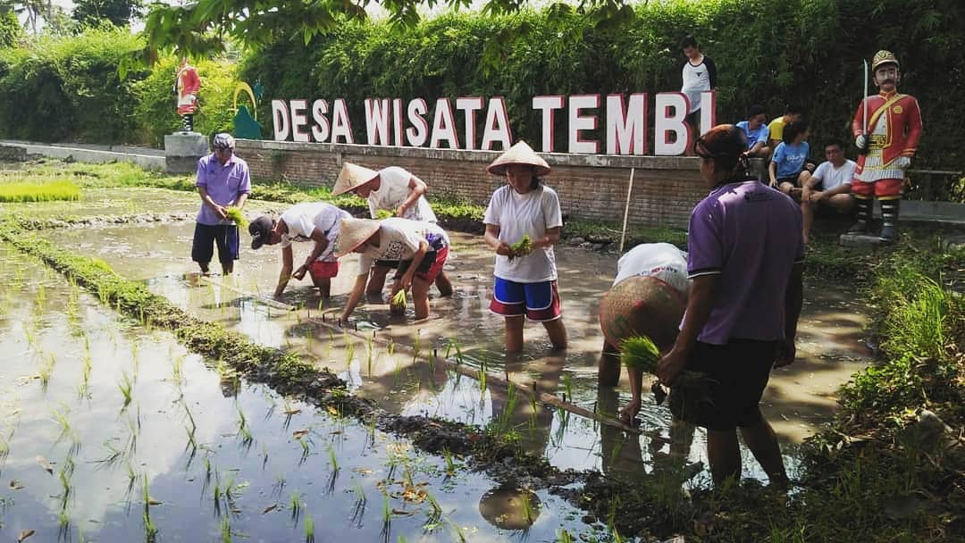 Desa Wisata di Jogja, Melipir Sejenak dari Hiruk Pikuk Kota
