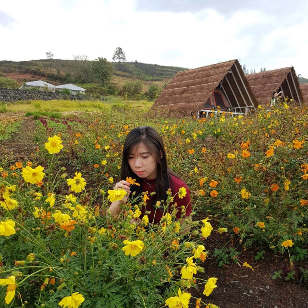 Wisata Alam dan Edukasi Kebun Efi di Tanah Karo, Segar dan Instagenic