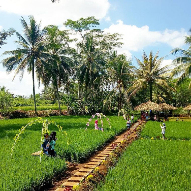 Pilihan Wisata Instagenic di Jember, Pesonanya Memang Patut untuk Diuber
