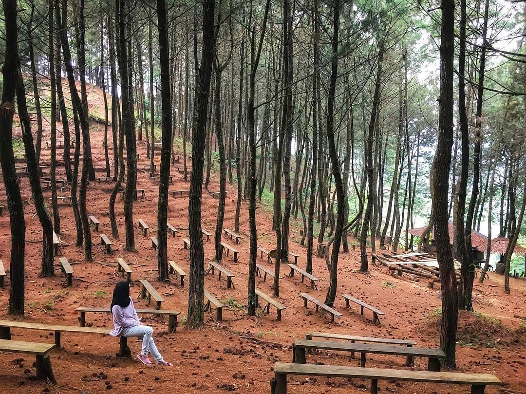 Cianten Bakukung, Spot Foto dan Selfie di Bogor yang Sejuk dan Antigagal