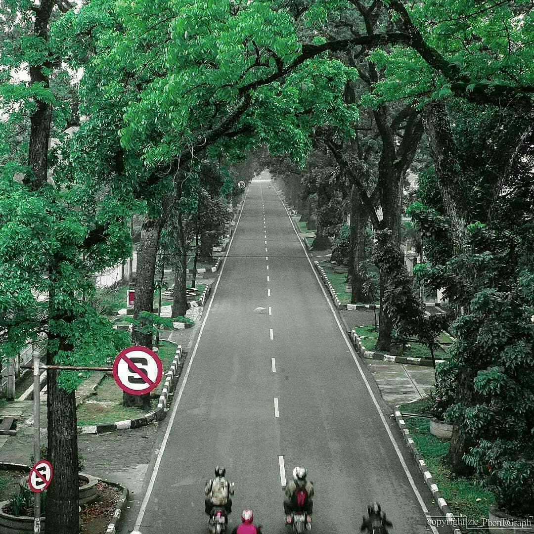 Angkot Mewah di Bandung, Desain Premium Punya Perpus Mini Hingga LED TV!