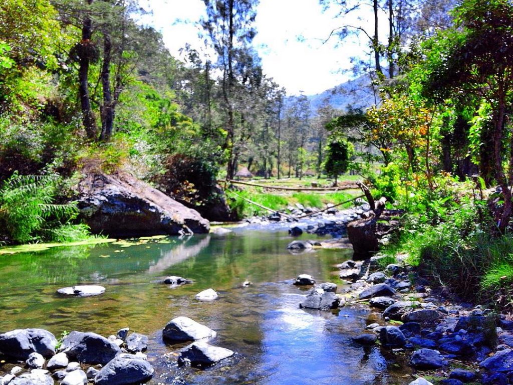 Wisata Alam di Timor Tengah Utara, Pesona Nusa Tenggara Timur dengan ...