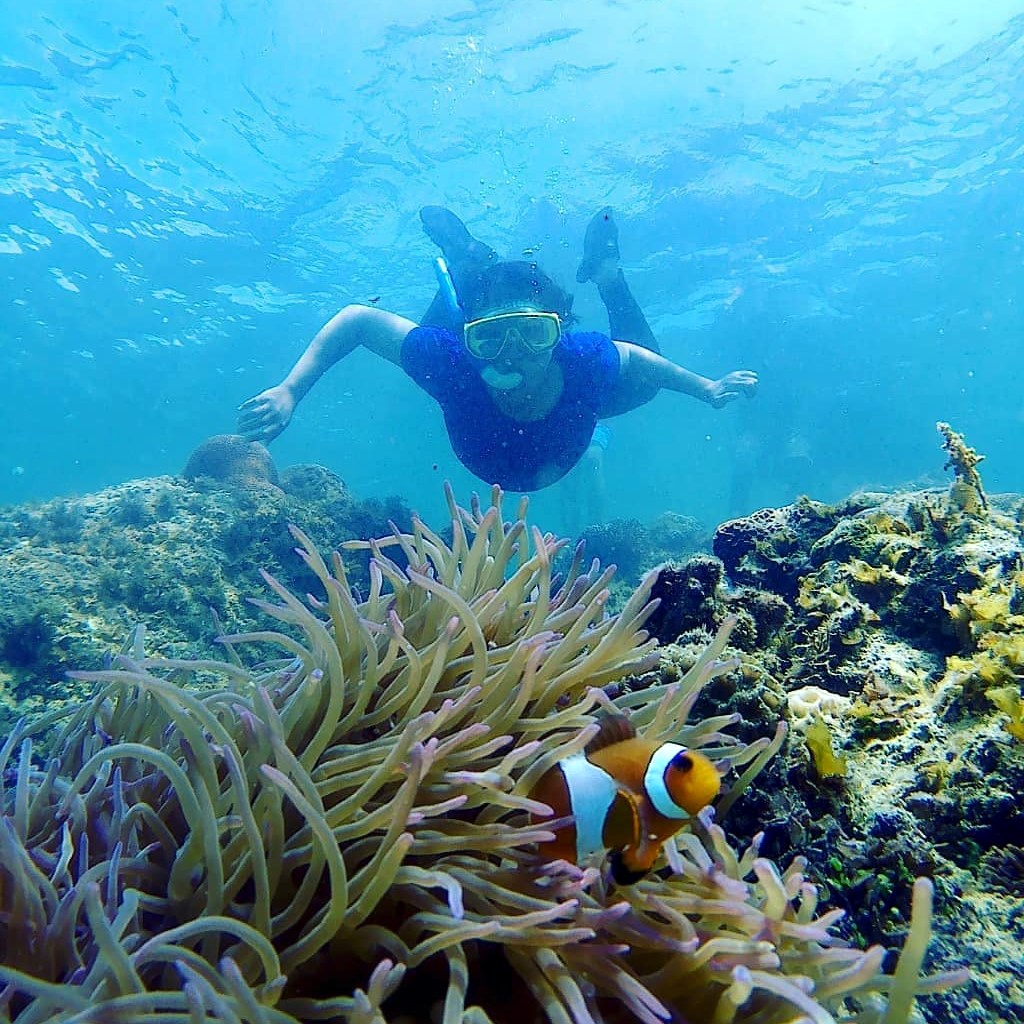 Yuk Ketemu Nemo di Pulau Lemukutan! Keindahan Alam Bawah Laut ...