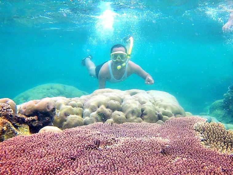 Yuk Ketemu Nemo di Pulau Lemukutan! Keindahan Alam Bawah Laut ...