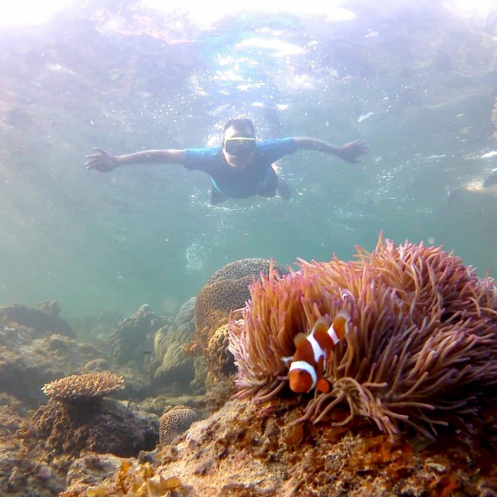 Yuk Ketemu Nemo di Pulau Lemukutan! Keindahan Alam Bawah Laut ...