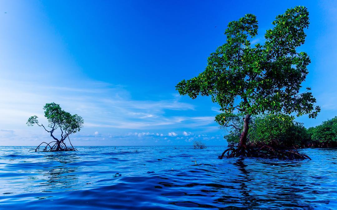 Wisata Air di Sulawesi Barat, dari Pantai Hingga Air Terjun Pesonanya ...